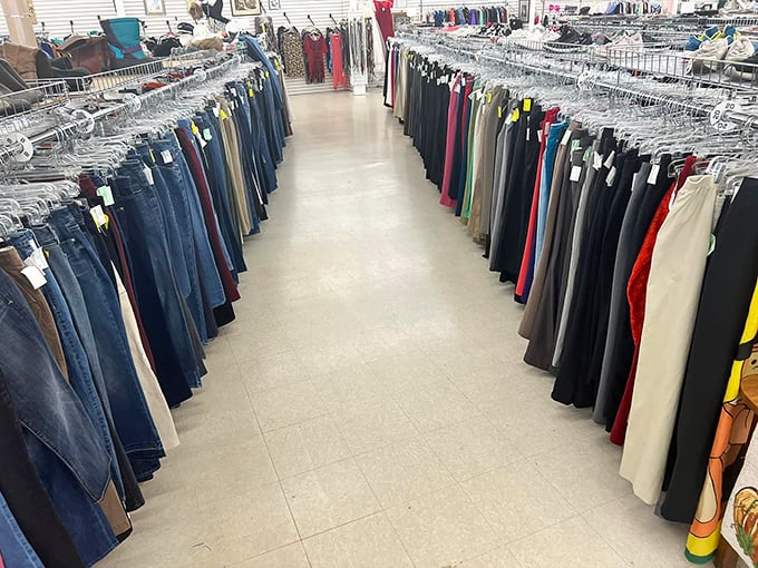 The pants corridor – where denim goes to find its second chance. This impressive collection ranges from "just bought yesterday" to "definitely survived the '90s."