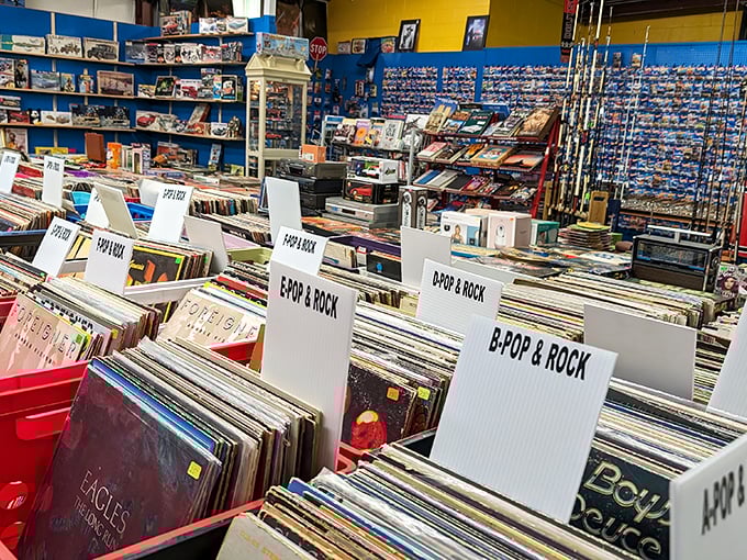 Vinyl records organized by genre—each cardboard divider a portal to different musical eras. B-Pop & Rock: where audiophiles hunt for that perfect album.