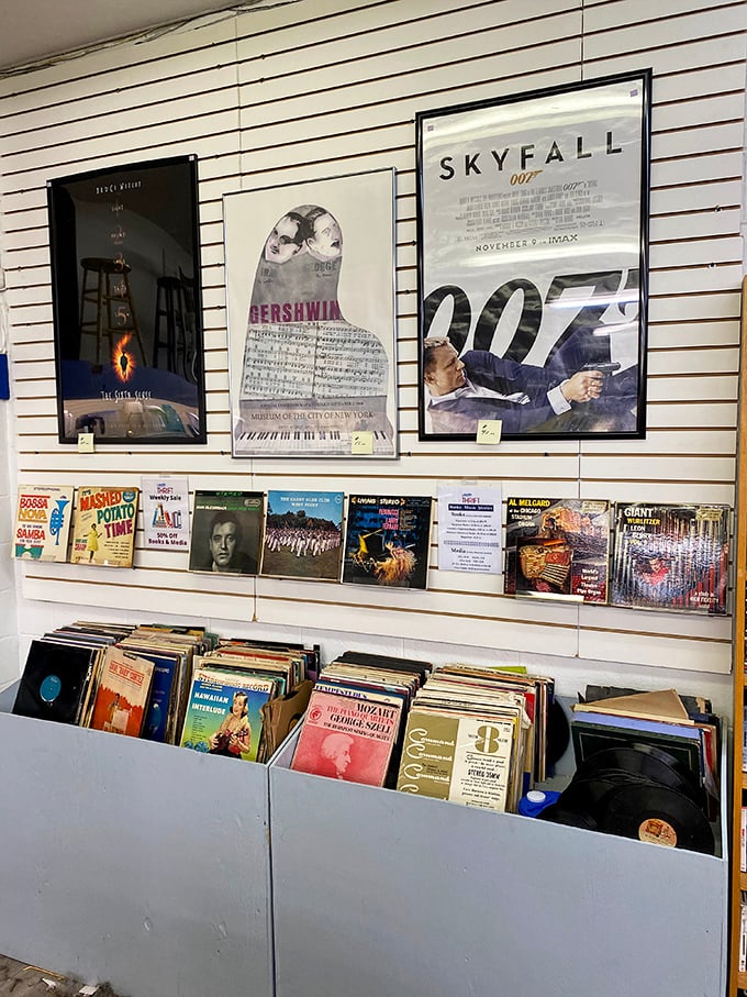 Vinyl records waiting to spin their magic again – nostalgia never sounded so good.