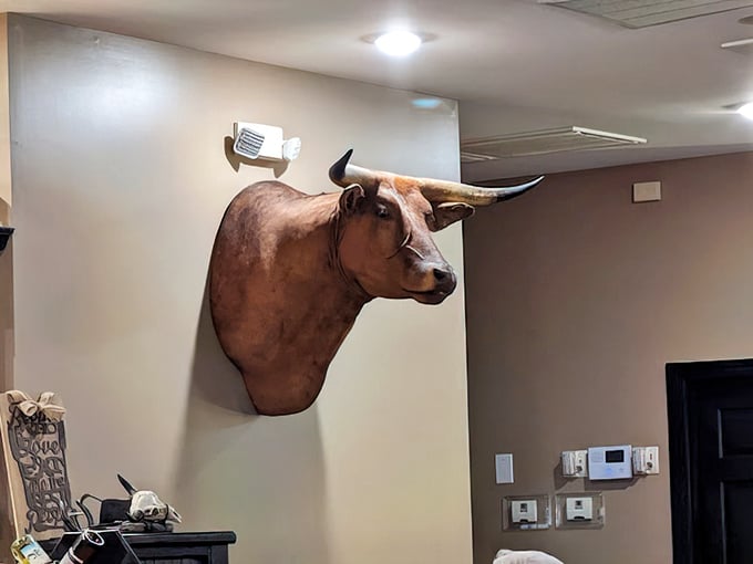 That mounted bull head isn't just decor—it's keeping a watchful eye on quality control from its wall perch.