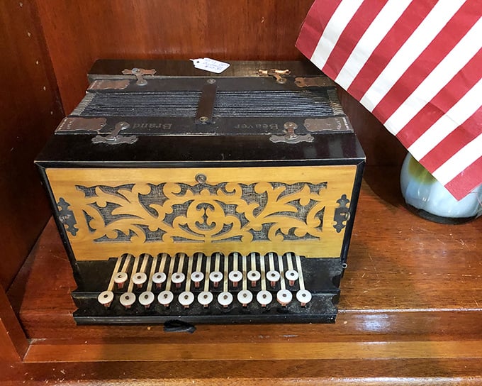 This ornate accordion doesn't just sit silently—it practically hums with phantom polkas and waltzes from gatherings long since ended.