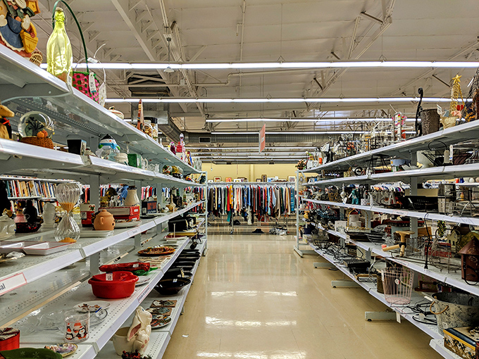 Down the rabbit hole of household goods. Each aisle offers a different domestic category, from practical kitchen tools to whimsical decor that sparks conversation.