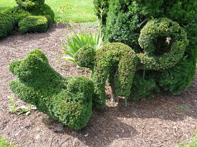 "Don't pet the topiary dogs—they're a little ruff around the edges!" These sculpted canines stay perfectly behaved, no treats required.
