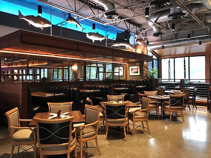 Model fish suspended from industrial ceilings—a playful reminder of what you're here for in this thoughtfully designed dining space.