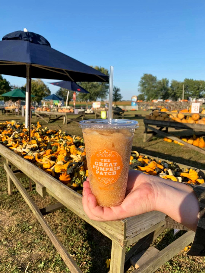 Apple cider slushies—autumn's perfect refreshment enjoyed against a backdrop of pumpkin paradise. Summer has nothing on this seasonal sip.