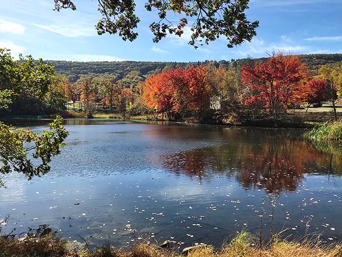 Fall foliage reflects in still waters, doubling nature's already generous display of October's finest fashion show.