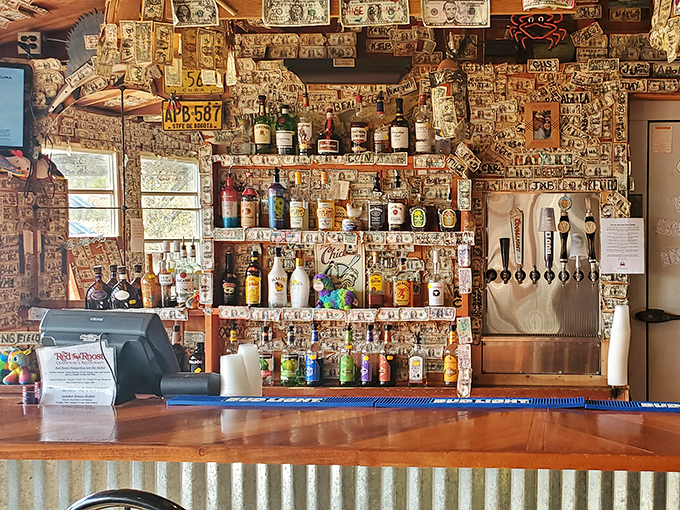 The bar where dollar bills tell stories and local brews flow freely—every inch covered with memories and Maryland pride.