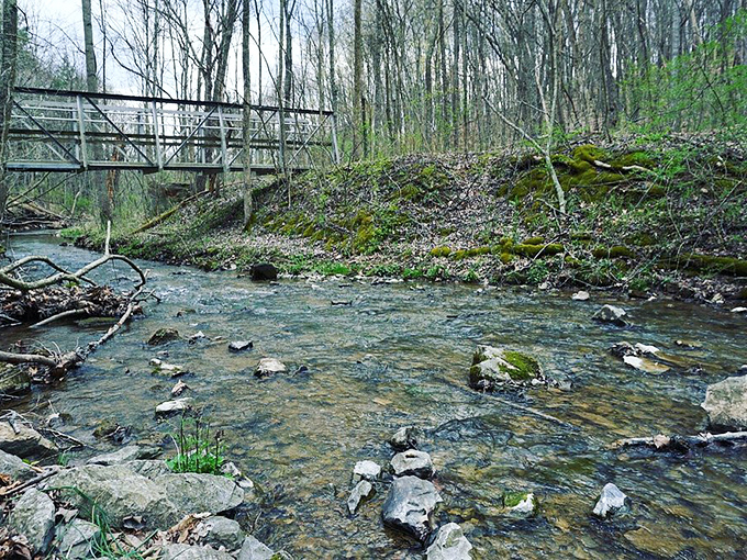 A babbling brook that sounds better than any white noise machine you could buy. Nature's soundtrack comes with a rustic bridge bonus.