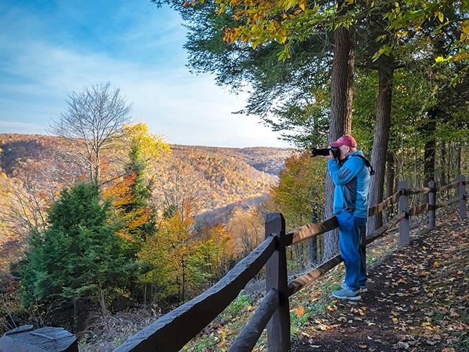 Fall foliage at Canyon Vista overlook—nature's way of showing off before winter, like a peacock with better timing.