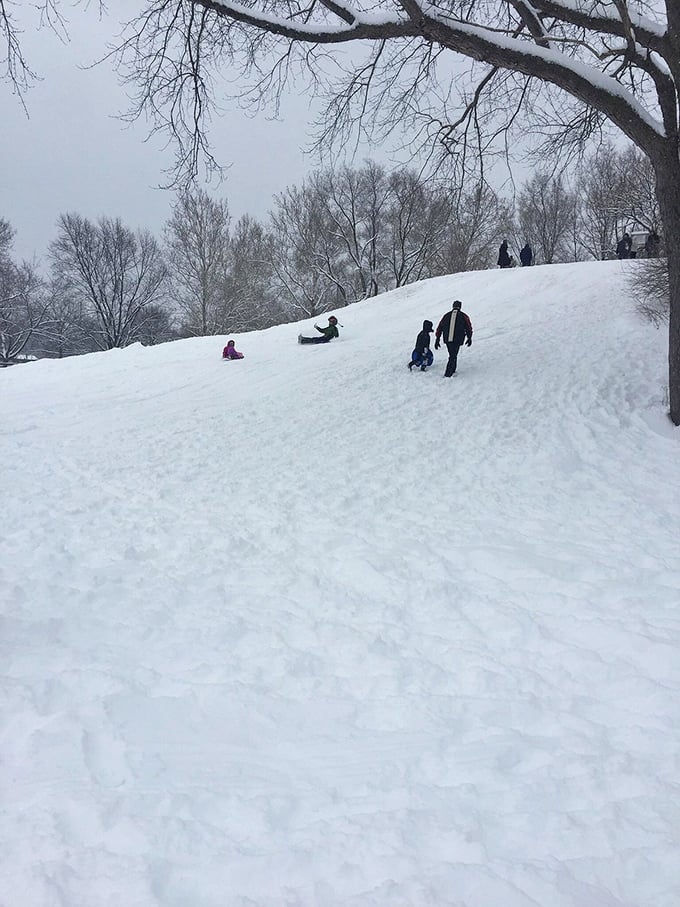 Winter in Champaign means impromptu sledding parties on snow-covered hills – no fancy equipment required, just gravity and childlike abandon.