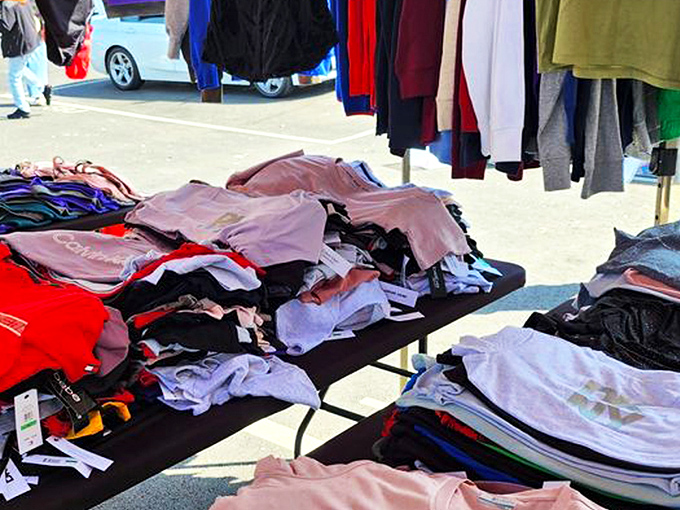 Fast fashion slows down for a second chance. These colorful garments await their next adventure, proving style doesn't require a first-mortgage investment.