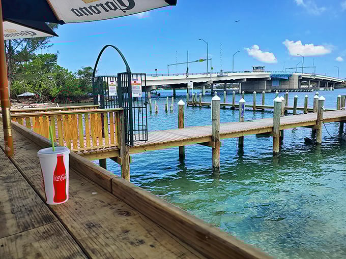 A simple Coca-Cola never had it so good – getting to lounge waterside while boats drift by and pelicans plot their next dive.