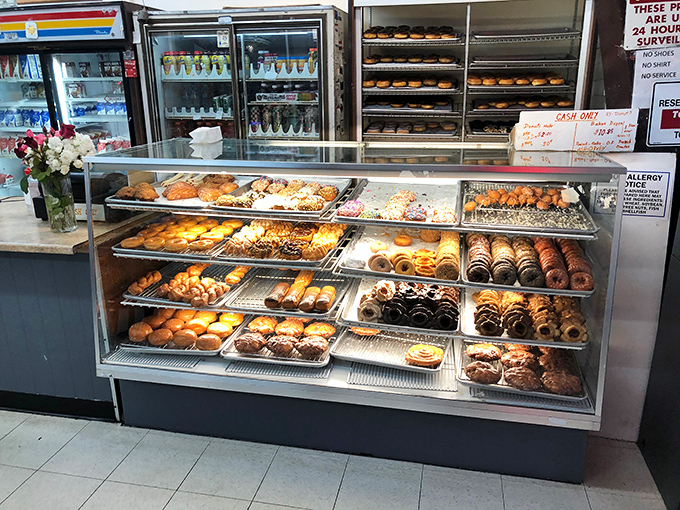 The display case—a treasure chest of fried dough jewels where the hardest decision you'll make all day is "which one?"