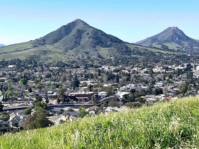 San Luis Obispo spreads below like a perfectly planned postcard, nestled between protective hills.