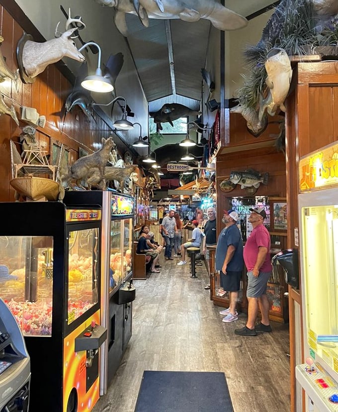 A hallway of Florida treasures – taxidermy, arcade games, and enough local character to fill a novel or at least a colorful memoir. 