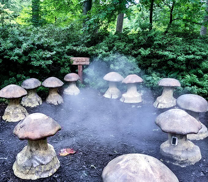 Mushroom sculptures emerge from misty waters like something from a particularly upscale fairy tale forest.