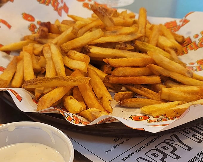 French fries this golden and crispy aren't merely side dishes—they're essential supporting characters in the barbecue story unfolding on your plate.