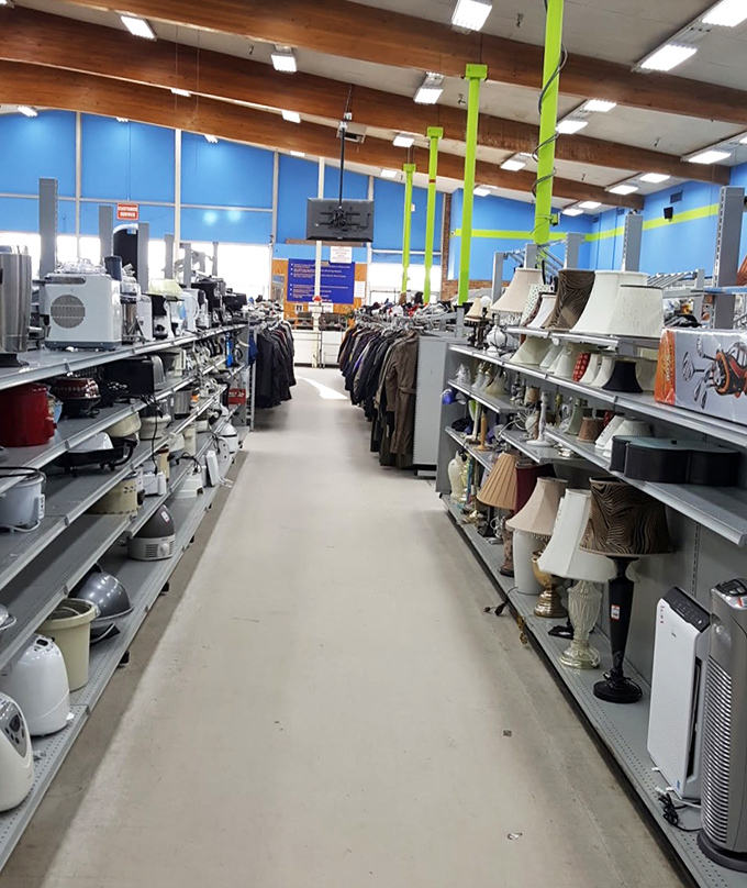 Home appliance alley: where coffee makers, lamps, and kitchen gadgets get their second chance at greatness. Your kitchen counter is about to get very interesting.