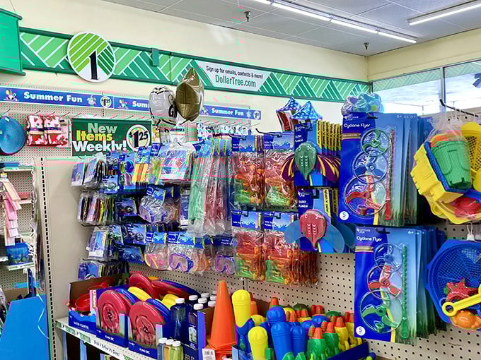 Summer fun central – where pool noodles, bubbles, and childhood joy come together without parental financial anxiety.