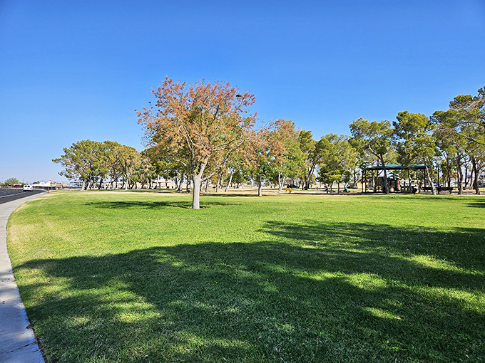 Leroy Jackson Park offers an oasis of green in the desert landscape – where shade becomes the most valuable real estate during summer afternoons.