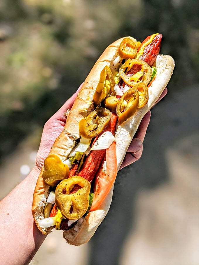 The Chicago dog arrives dressed for success with more toppings than a luxury pizza, yet maintains its working-class hot dog dignity.