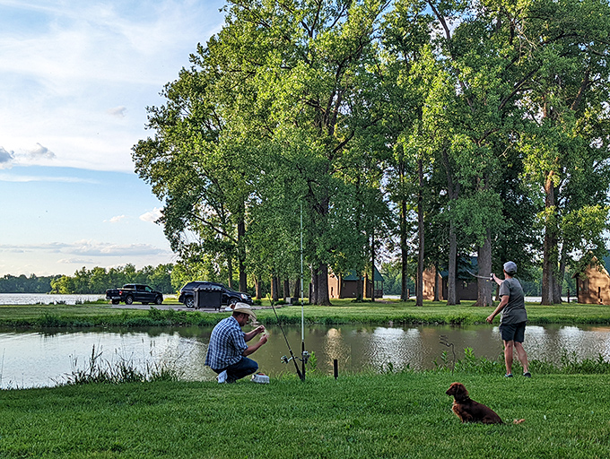 Nature's tranquil fishing spots where patience is rewarded with both catches and serenity.