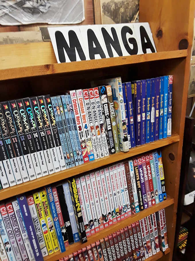 The Manga section offers vibrant Japanese storytelling in neatly organized volumes – a visual feast that proves some of the most compelling narratives combine words and images.