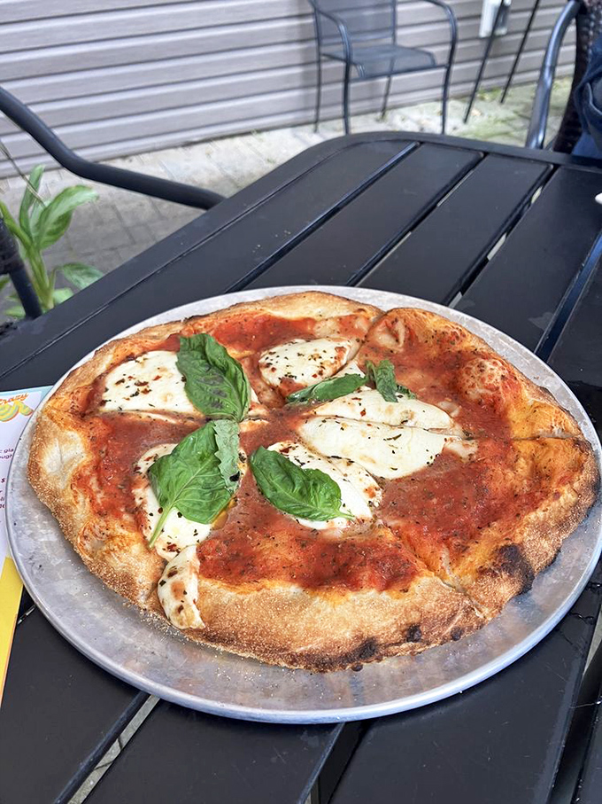 Pizza Margherita so authentic it probably has its own Italian passport. Those basil leaves aren't garnish – they're crowning jewels.