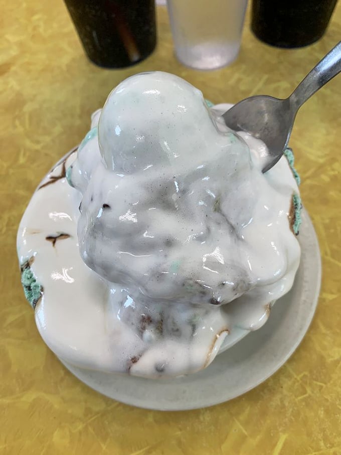 Mint chocolate chip wearing a marshmallow hat. This isn't just dessert—it's a sweet fever dream that somehow tastes like childhood memories.