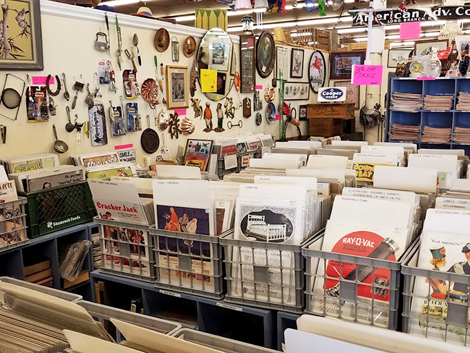 Vinyl records organized by someone who understands that music lovers browse like archaeologists—methodically and with great purpose.