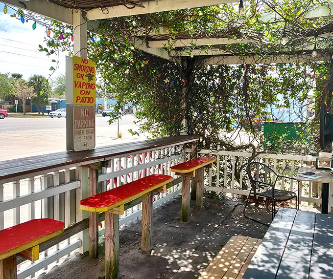 The vine-covered outdoor seating area offers dappled shade and a gentle breeze – nature's perfect complement to hot dog perfection.