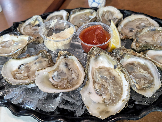 Oysters on the half shell—nature's perfect appetizer, requiring nothing more than a squeeze of lemon and a moment of gratitude.