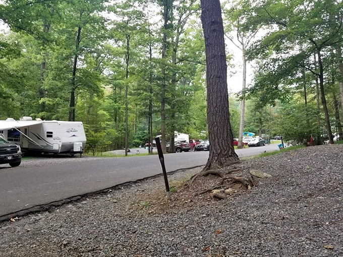 Camping with conveniences—where wilderness meets comfort. These campers have mastered the art of bringing just enough civilization along.