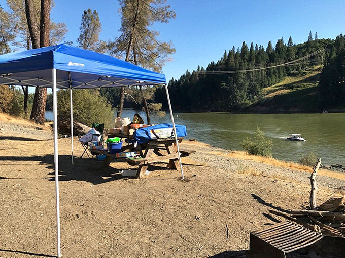 Lakeside picnicking beats fancy restaurants any day—especially when your dining room comes with million-dollar views and zero pretension.