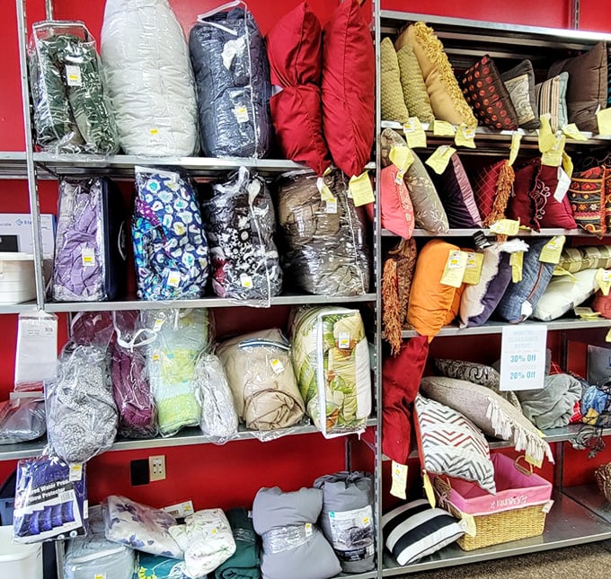 The pillow and blanket section—where comfort meets affordability in a rainbow of options that would make any couch proud.