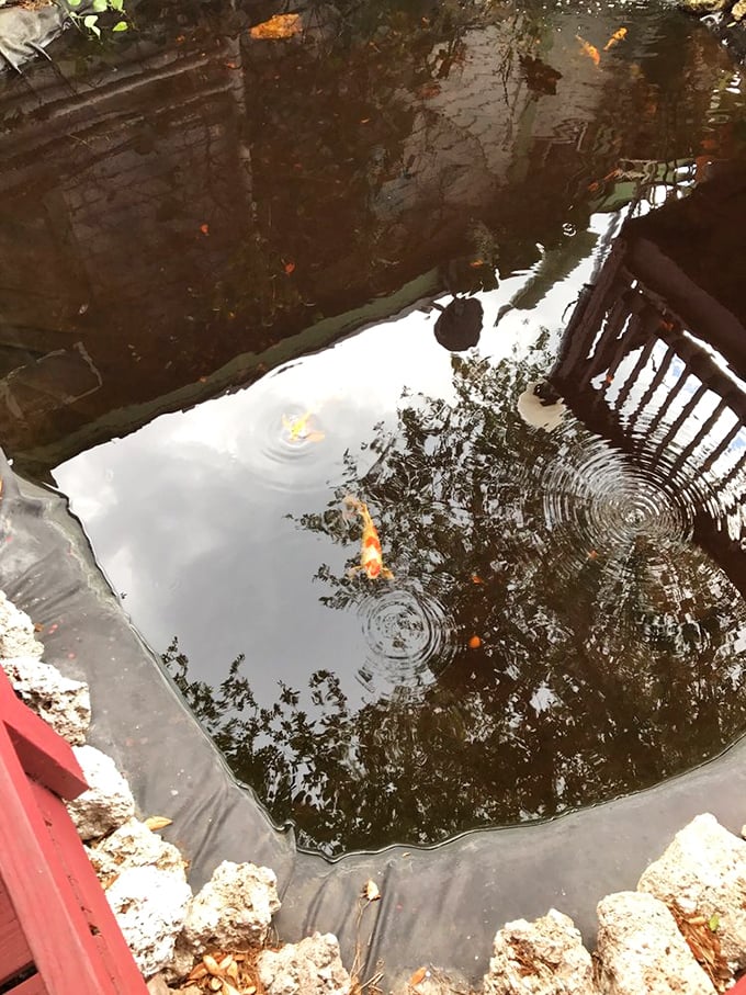 Even the koi pond reflects Florida's deep connection to water. These gliding orange fish provide tranquil entertainment between bites of their distant cousins.
