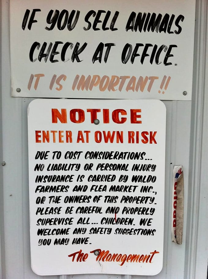 The market's warning signs read like a legal document written by someone who's watched too many courtroom dramas.