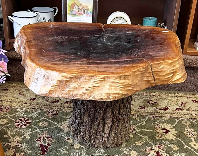 Mother Nature's coffee table – where a tree stump transforms into functional art that would make any rustic design enthusiast reach for their wallet.