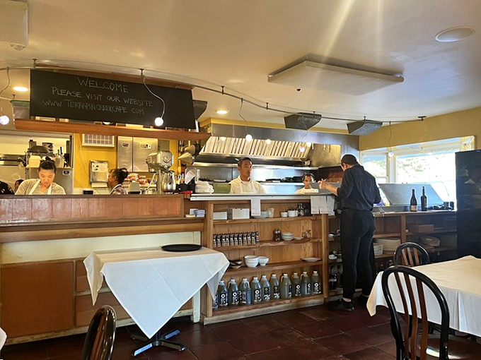 The open kitchen reveals the orchestra at work. Great restaurants are like great jazz – technical precision with room for inspired improvisation.