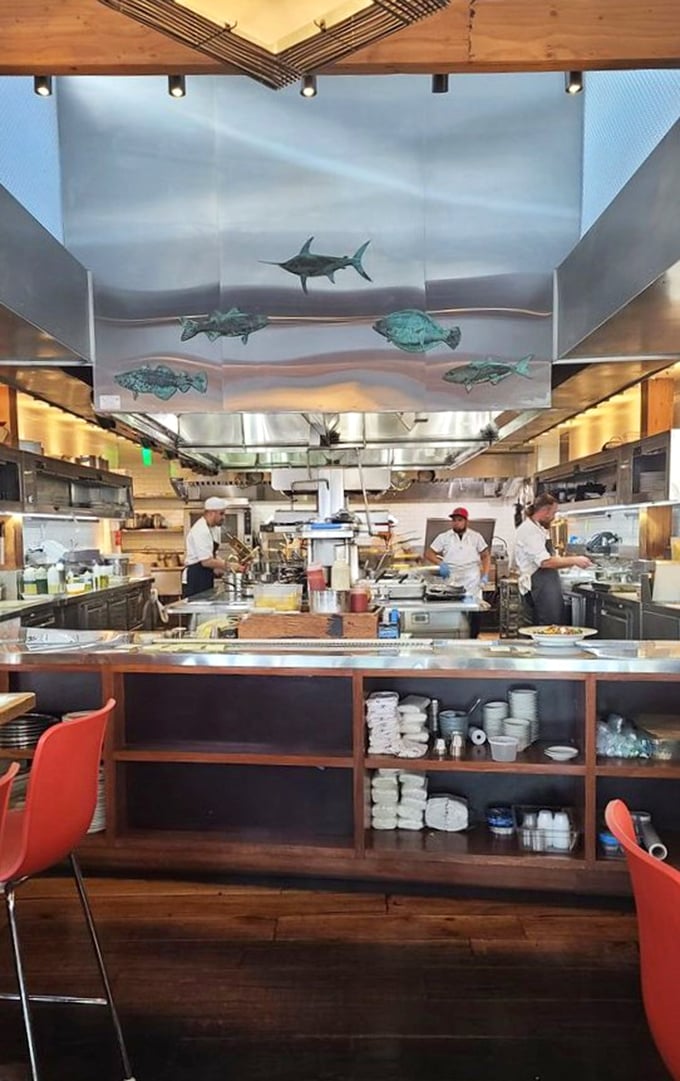 Where the magic happens—an open kitchen showcasing culinary choreography beneath whimsical metal fish swimming overhead.