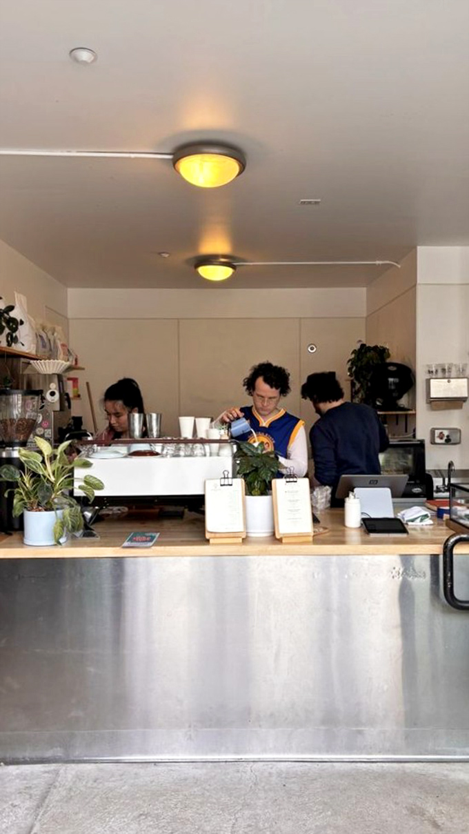 Baristas who approach coffee-making with the focused dedication of symphony conductors—where every pour and steam is perfectly orchestrated.