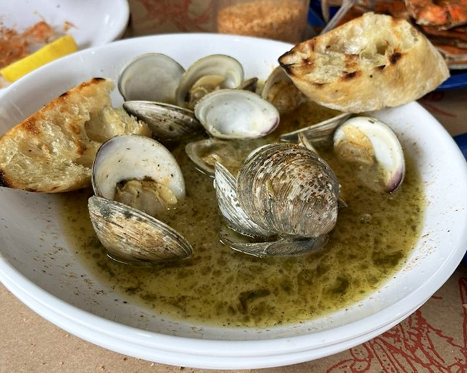 Steamed clams swimming in herb-infused broth with crusty bread for dipping – nature's perfect design for getting every last drop of flavor.