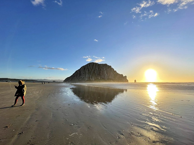 Sunset transforms Morro Beach into a mirror reflecting golden light. Even the most amateur photographer becomes an artist when nature provides this canvas.