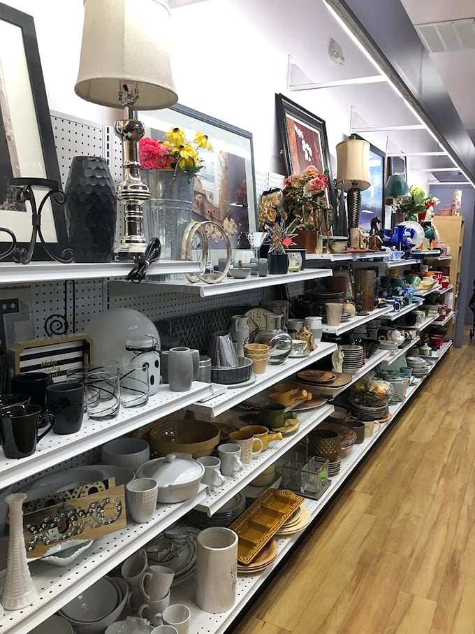 Shelves packed tighter than a subway car, but infinitely more rewarding to navigate through.