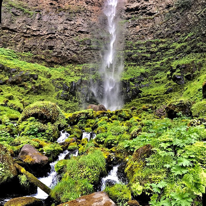 Vertical poetry in motion! Toketee's main cascade creates a mesmerizing ribbon of white against a canvas of vibrant moss.