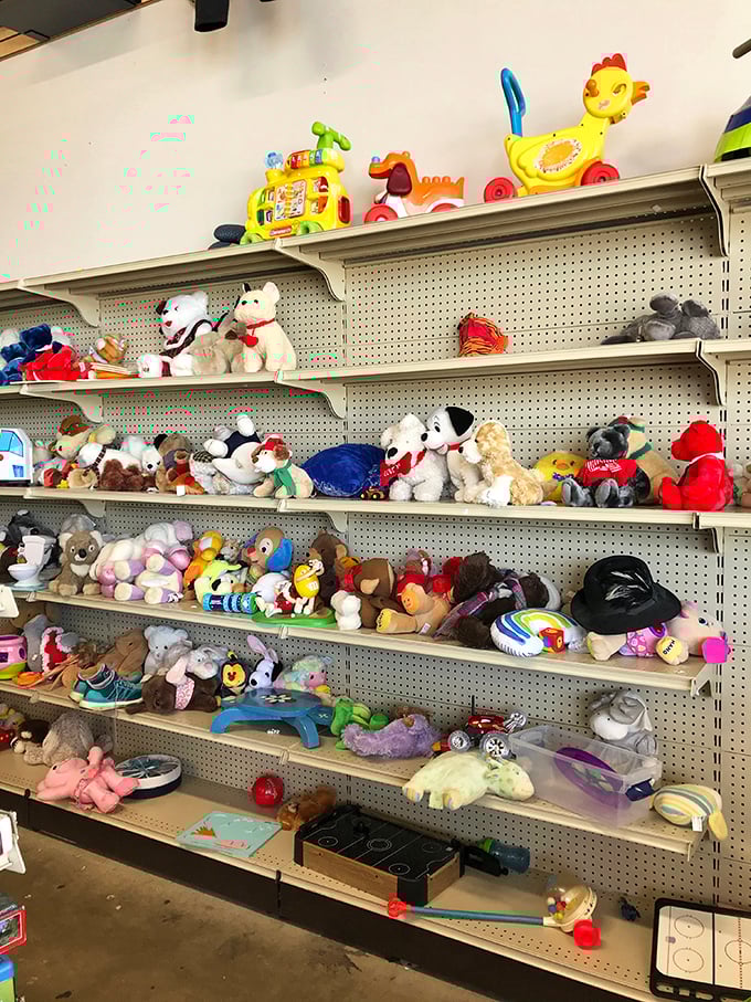 Stuffed animal adoption center. Each fuzzy friend patiently waiting for a child to declare them "the one" and take them home.
