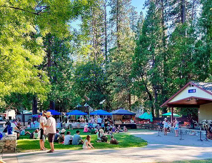 Summer concerts in the park – where strangers become friends over shared blankets and the universal language of live music.