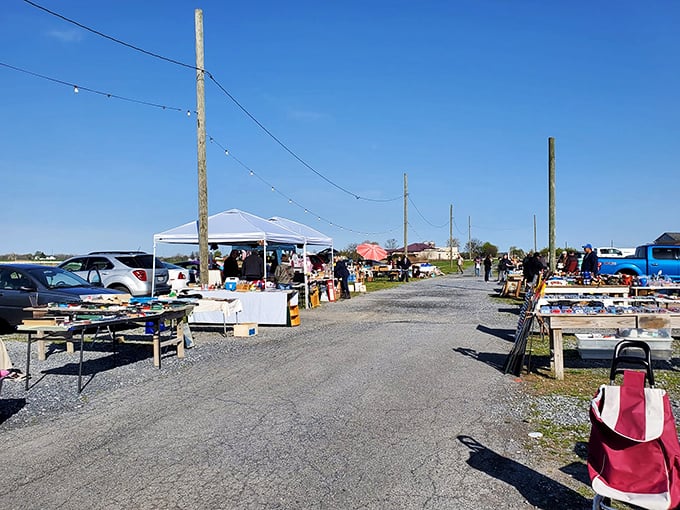 The calm before the shopping storm—early morning at Root's, when vendors arrange their wares and seasoned shoppers plan their strategy.