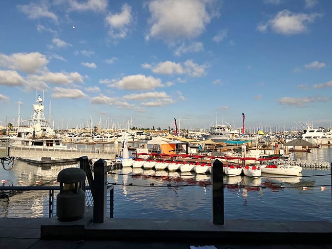 Dining with a view of the very waters your lunch came from—a maritime connection that makes every bite taste just a little bit better.