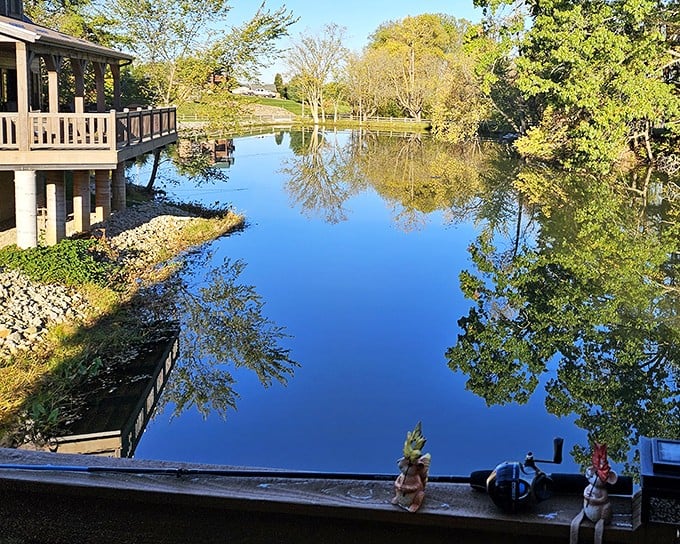 Mirror-like waters reflecting the trees – much like how Berlin's food scene reflects generations of tradition while remaining refreshingly unpretentious.